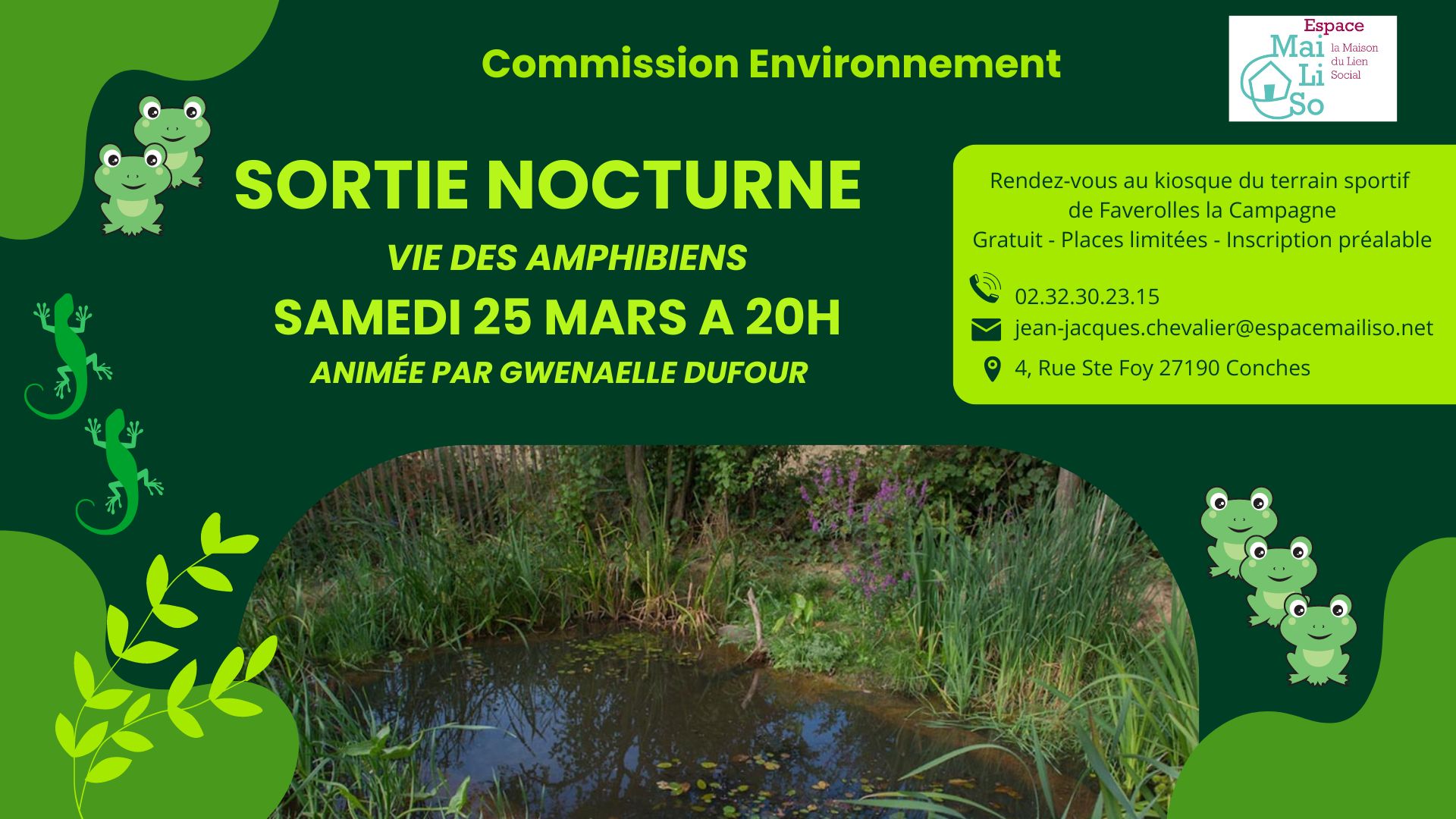 SORTIE NOCTURNE VIE DES AMPHIBIENS – Espace Maliso