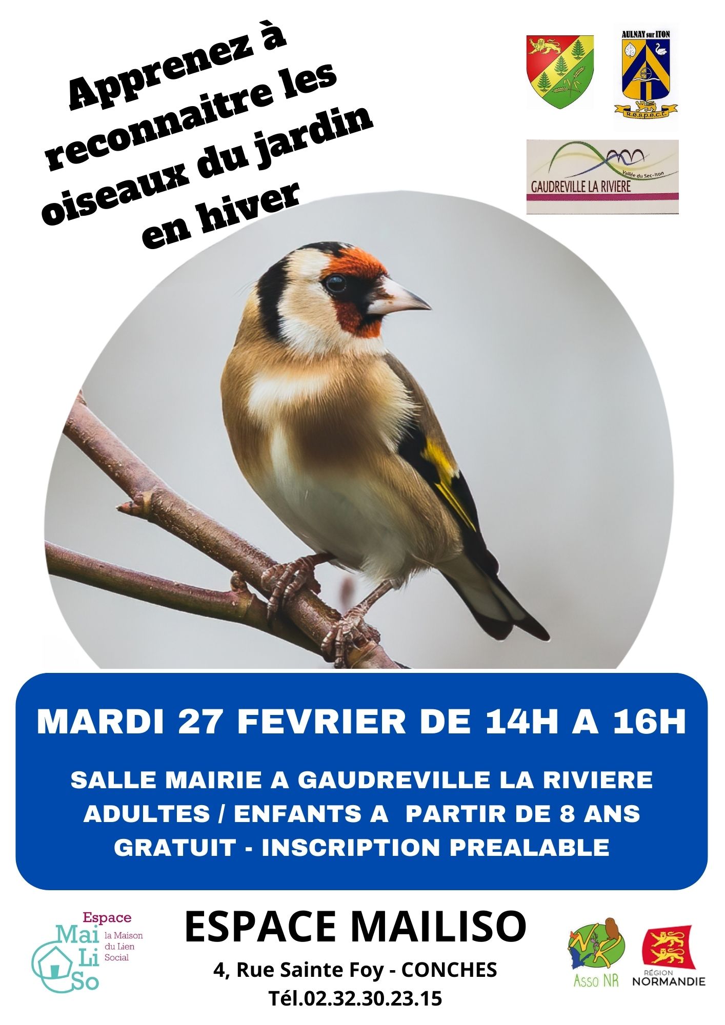 Oiseaux Du Jardin En Hiver – Espèces D’Oiseaux En Hiver – BLKXFS